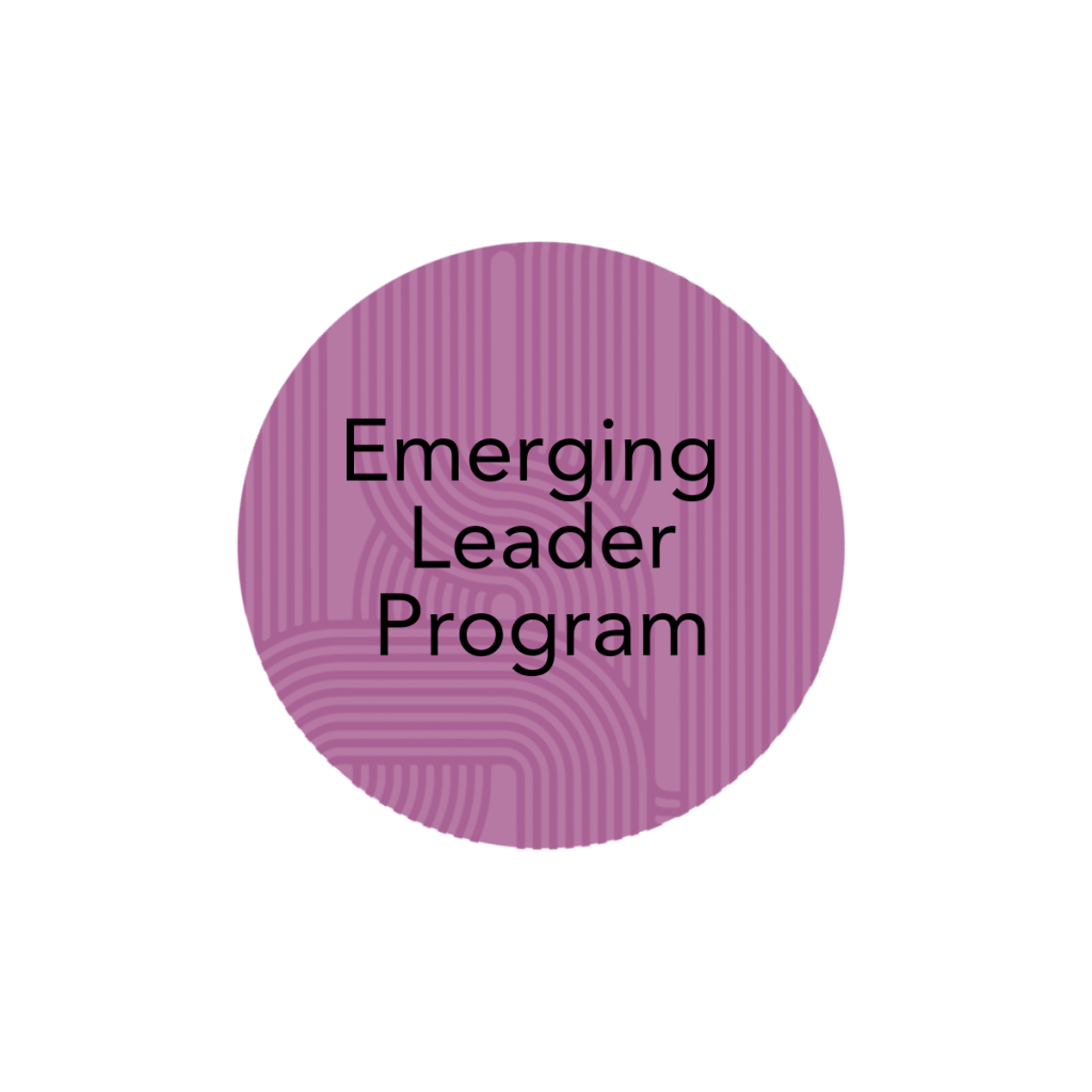 Emerging Leader Development Program - Hub - Leadership Excelleration Emerging Leader Development Program - Hub - Leadership Excelleration